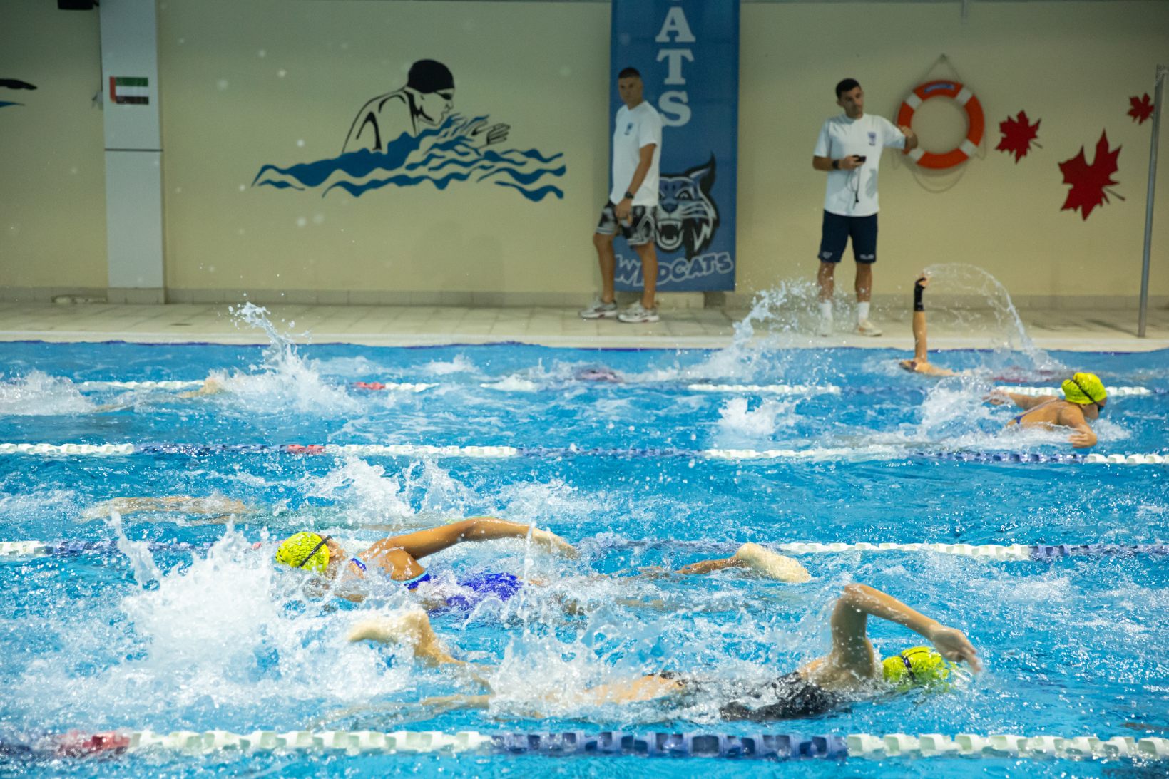 Easy Swimming